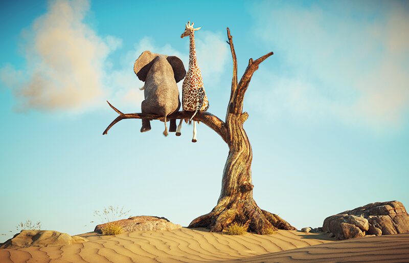 Human Works: Zeitung für nachhaltiges Arbeitsvermögen